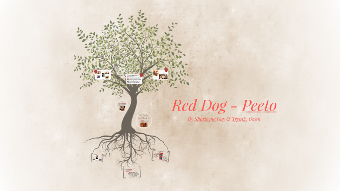 Red Dog - Peeto by Sharleyne on Prezi