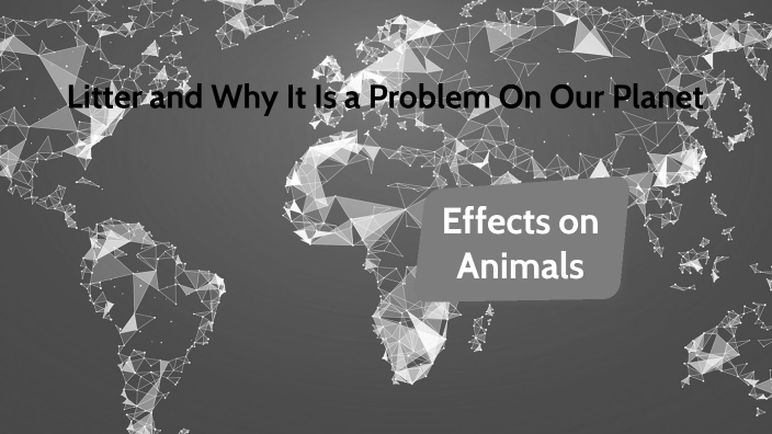 litter and why its a problem to the planet by kai davies on Prezi
