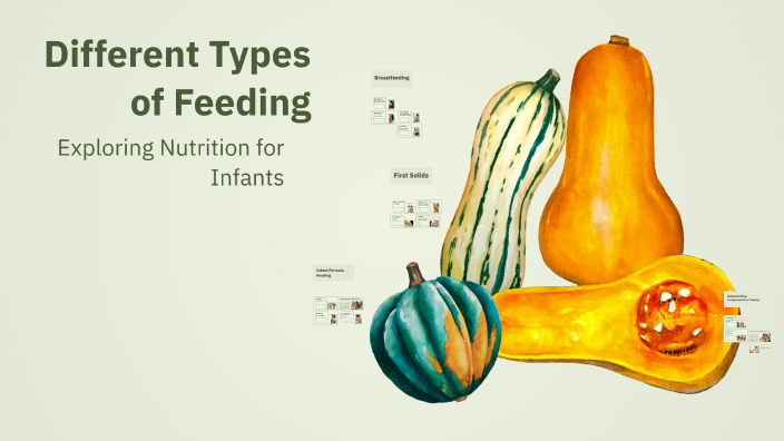 Different Types of Feeding by Lucy Hughes on Prezi