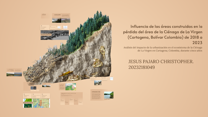 Influencia de las áreas construidas en la pérdida del área de la ...