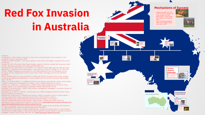 Red Fox Invasion in Australia by Aryana Patel on Prezi
