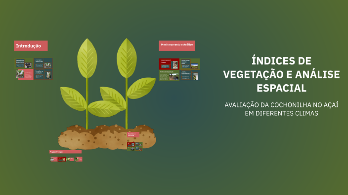 ÍNDICES DE VEGETAÇÃO E ANÁLISE ESPACIAL by Jessica Araujo on Prezi