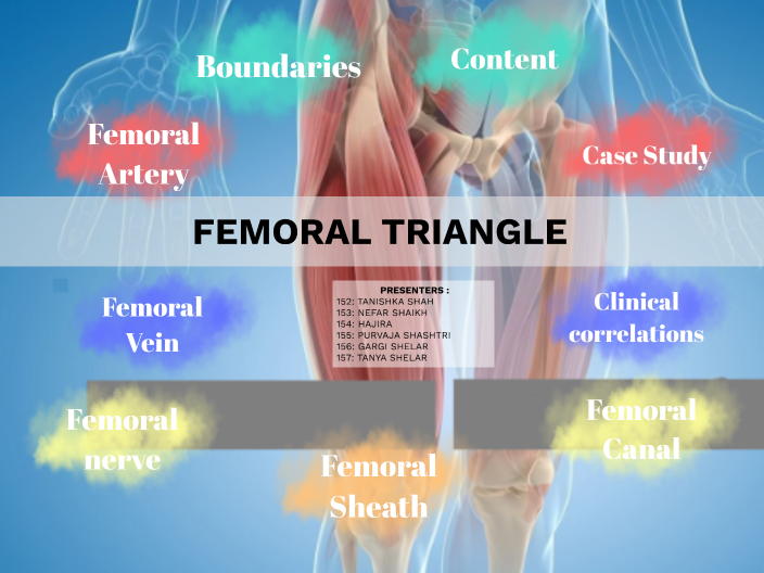 FEMORAL TRIANGLE by Tanya Shelar on Prezi