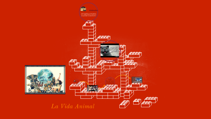 La Vida Animal by Samuel Cataño Vega on Prezi