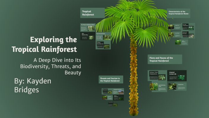 Exploring the Tropical Rainforest by Chase bronson on Prezi