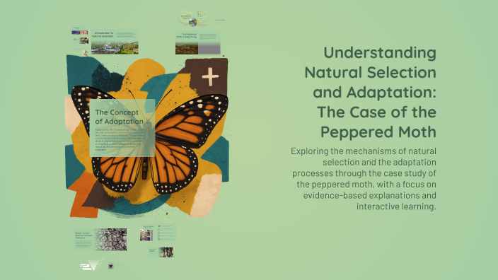 Understanding Natural Selection and Adaptation: The Case of the ...