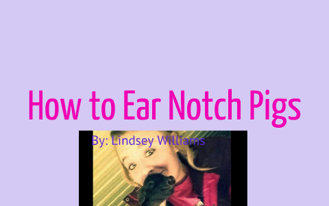 demo over how to ear notch a pig! by lindsey williams on Prezi