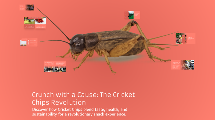 Crunch with a Cause: The Cricket Chips Revolution by Lizbeth Flores on ...