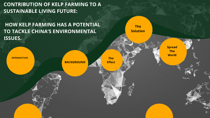 CONTRIBUTION OF KELP FARMING TO A SUSTAINABLE LIVING FUTURE: HOW KELP ...