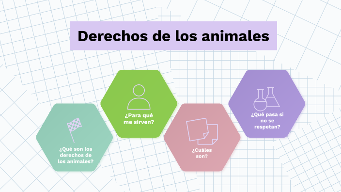 Derechos de los animales by Kitzia Rangel on Prezi