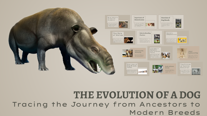 THE EVOLUTION OF A DOG by Trystan Dickey on Prezi