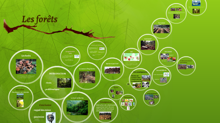 Les forêts by kim fillion on Prezi