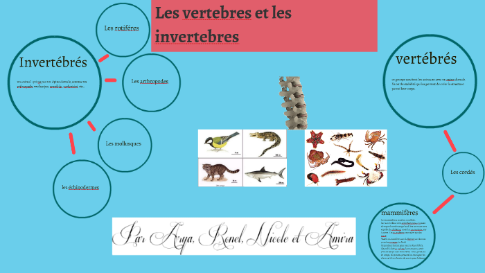 invertebres et vertebres by Yeet Meister on Prezi