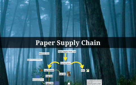 Paper Supply Chain by Marlon Cedeno on Prezi
