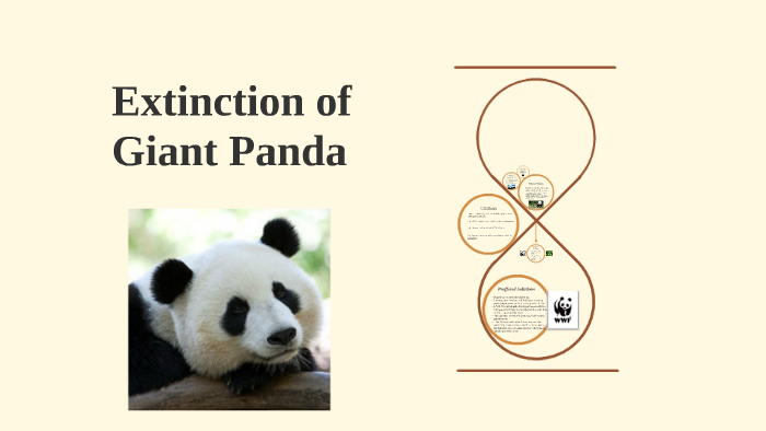 Extinction of Giant Panda by Josh Brooks on Prezi