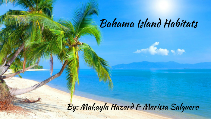 Tropical Island Food Chain by Makayla Hazard on Prezi