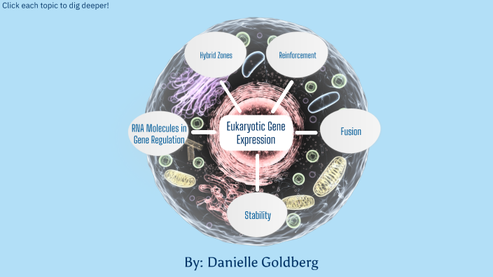 Hybrid Zones concept map by Danielle Goldberg on Prezi