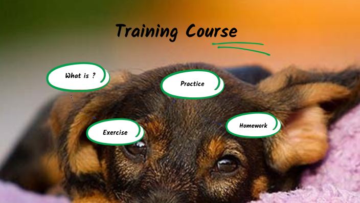 Der Hund by Lia Miglioranza on Prezi