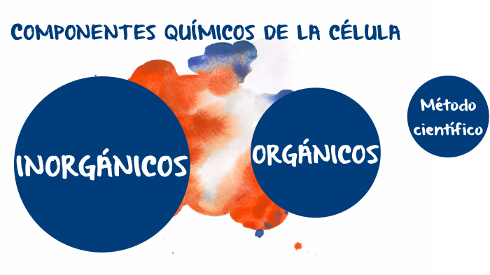 Componentes Químicos by Tomás Apablaza Loaiza on Prezi
