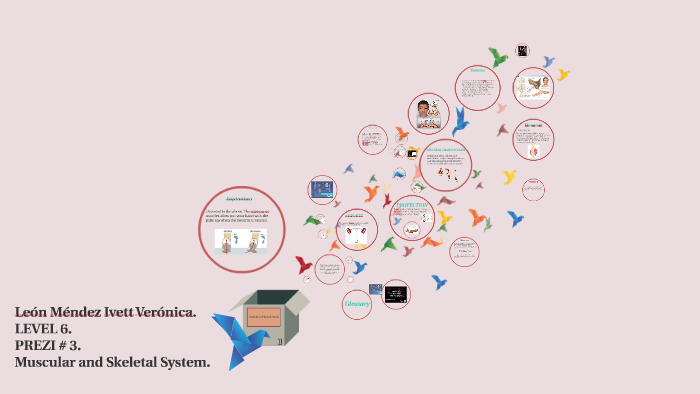 Muscular and Skeletal System. by Ivett Veronica Leon Mendez on Prezi