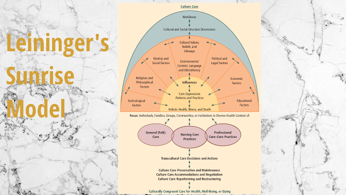 Leiningers Sunrise Model by Harsimran Grewal on Prezi