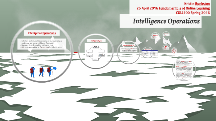 Intelligence Operations by Kristin Bankston
