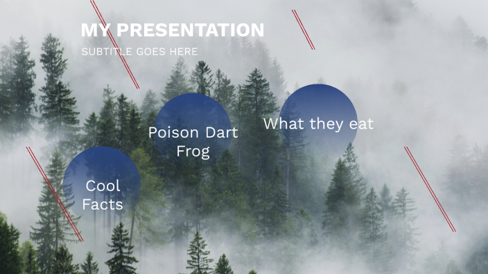 Poison Dart Frog by Hunter Holsomback on Prezi