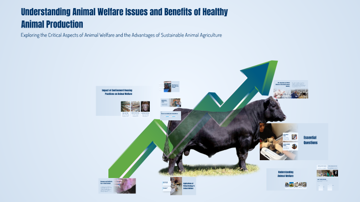 Understanding Animal Welfare Issues and Benefits of Healthy Animal ...