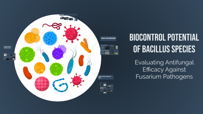 Biocontrol Potential of Bacillus Species by Edgar Alves on Prezi