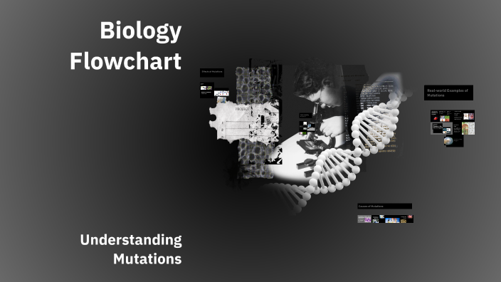Biology Flowchart by Aya Lurie on Prezi