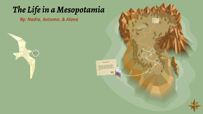 The social classes and famillies of the Mesopotamian by alana sweeney ...