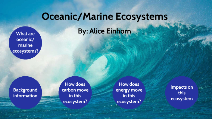 Oceanic/Marine Ecosystem by Alice Einhorn on Prezi