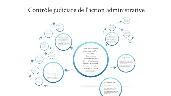 Introduction - Contrôle judiciaire de l'action administrative 2022 by ...