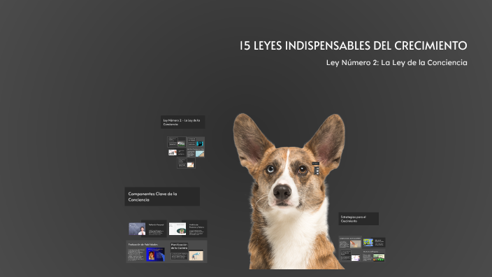 15 LEYES INDISPENSABLES DEL CRECIMIENTO by Conferencista John Cespedes ...