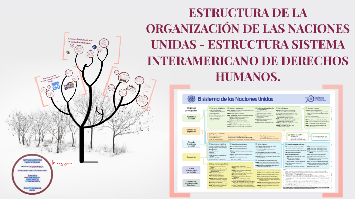 ESTRUCTURA DE LA ONU - ESTRUCTURA SIDH by on Prezi