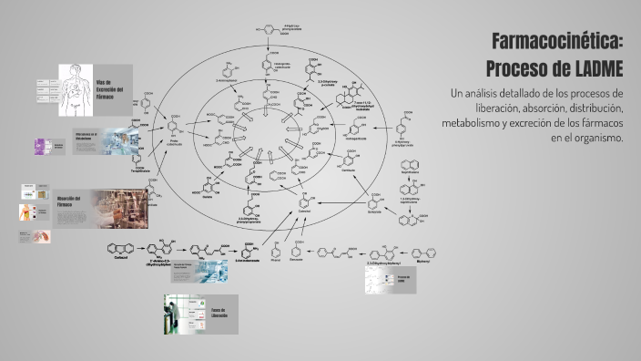Farmacocinética: Proceso de LADME by Carla on Prezi