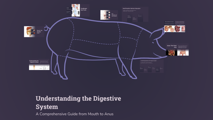 Understanding the Digestive System by Patrick Murray on Prezi