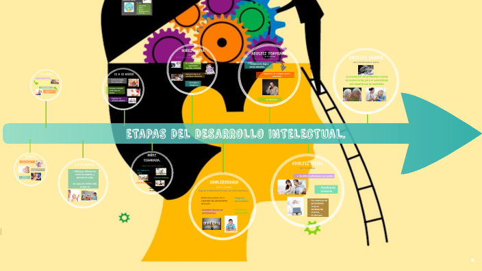 Etapas del desarrollo intelectual. by Camila Cevallos on Prezi