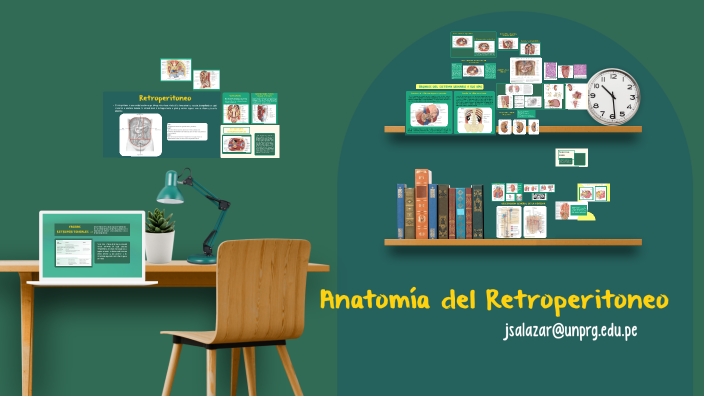 Anatomía del Retroperitoneo by JAIME MIGUEL SALAZAR SALAZAR on Prezi