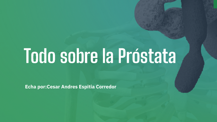 La Próstata: Funciones y Enfermedades by Cesar andres Espitia corredor ...