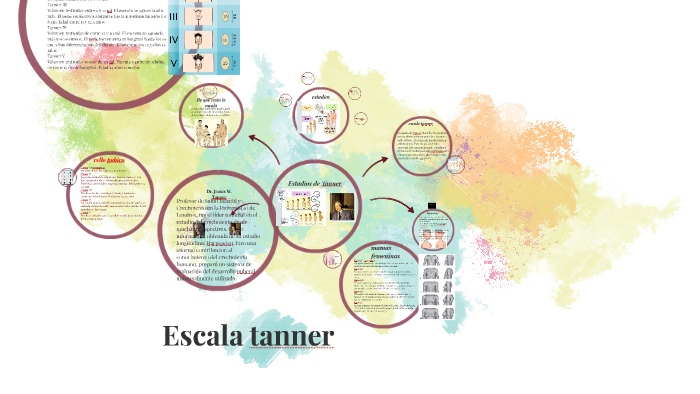 estadios de Tanner by stiago mejia on Prezi