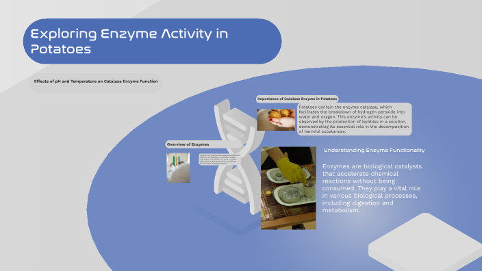 Exploring Enzyme Function with Potatoes by Andres Cortes on Prezi