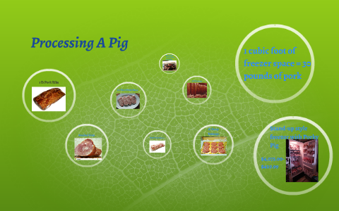 Processing A Pig by Lilli Shaw on Prezi