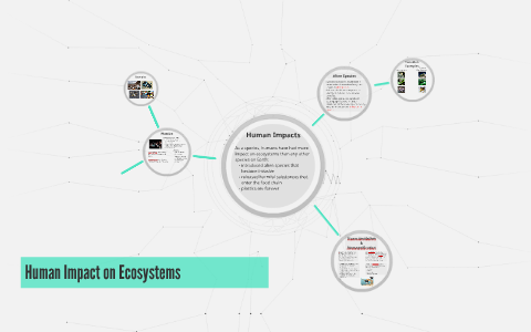 Human Impact on Ecosystems by Angela De Jong on Prezi