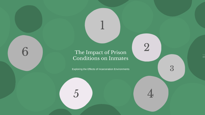 The Impact of Prison Conditions on Inmates by Megan Titford [Student ...