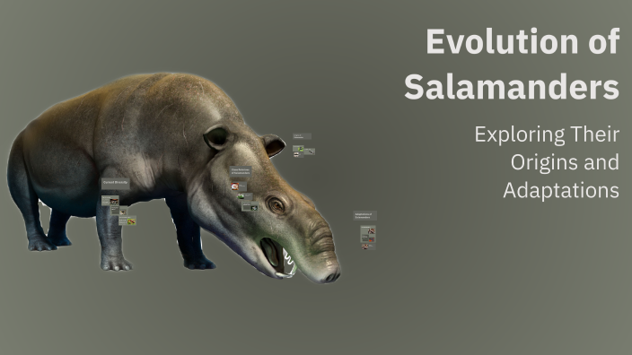 Evolution of Salamanders by Becca Mattingly on Prezi