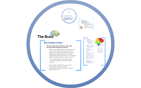 The Brain by Amelia Dunbar on Prezi