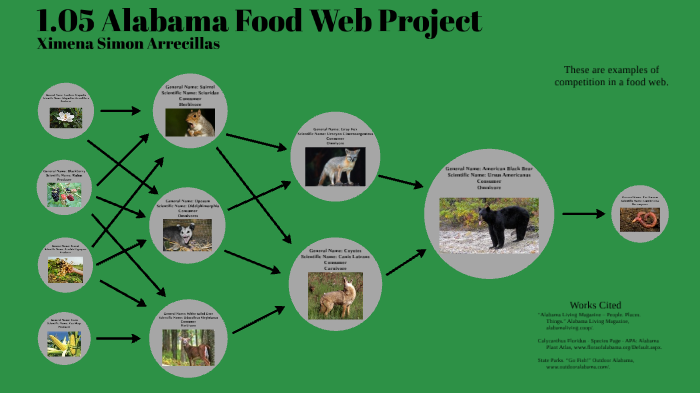 1.05 Alabama Food Web by Ximena Simon Arrecillas on Prezi