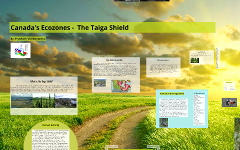 Canada's Ecozones - Taiga Shield by Prushoth Vivekanantha on Prezi