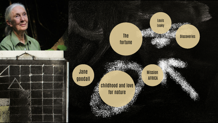 biography jane goodall by Jœ ß on Prezi